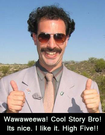 My "Cool Story Bro" Moment | mgoblog