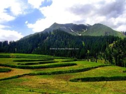 Proud to be a Pakistani (Amazing Facts about Pakistan)